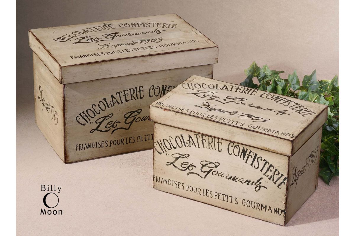 Chocolaterie Decorative Boxes Set of 2 at Gardner-White