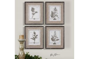 Casual Grey Study Framed Art Set of 4 at Gardner-White