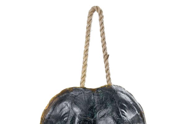 Turtle Shell Accessory by Regina Andrew at Gardner-White