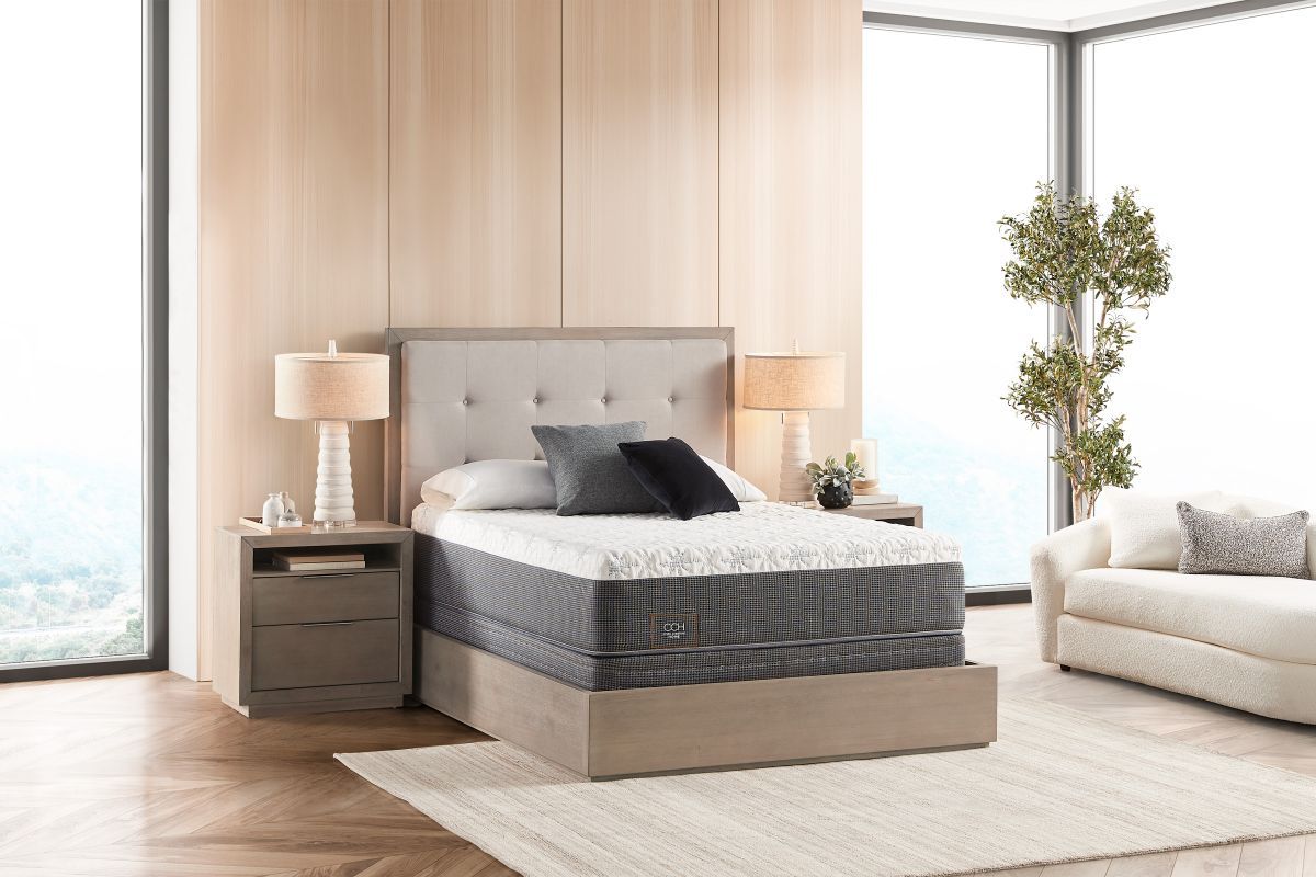 Plush hybrid queen mattress store
