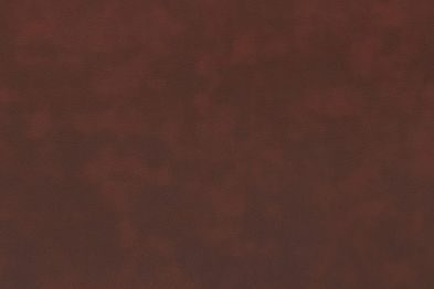 Cade Brown Leather Dual Power Recliner at Gardner White